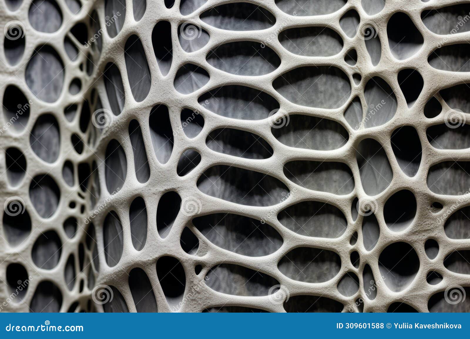 Bone Tissue Human Skeleton Under Microscope Cells Structure Medical ...