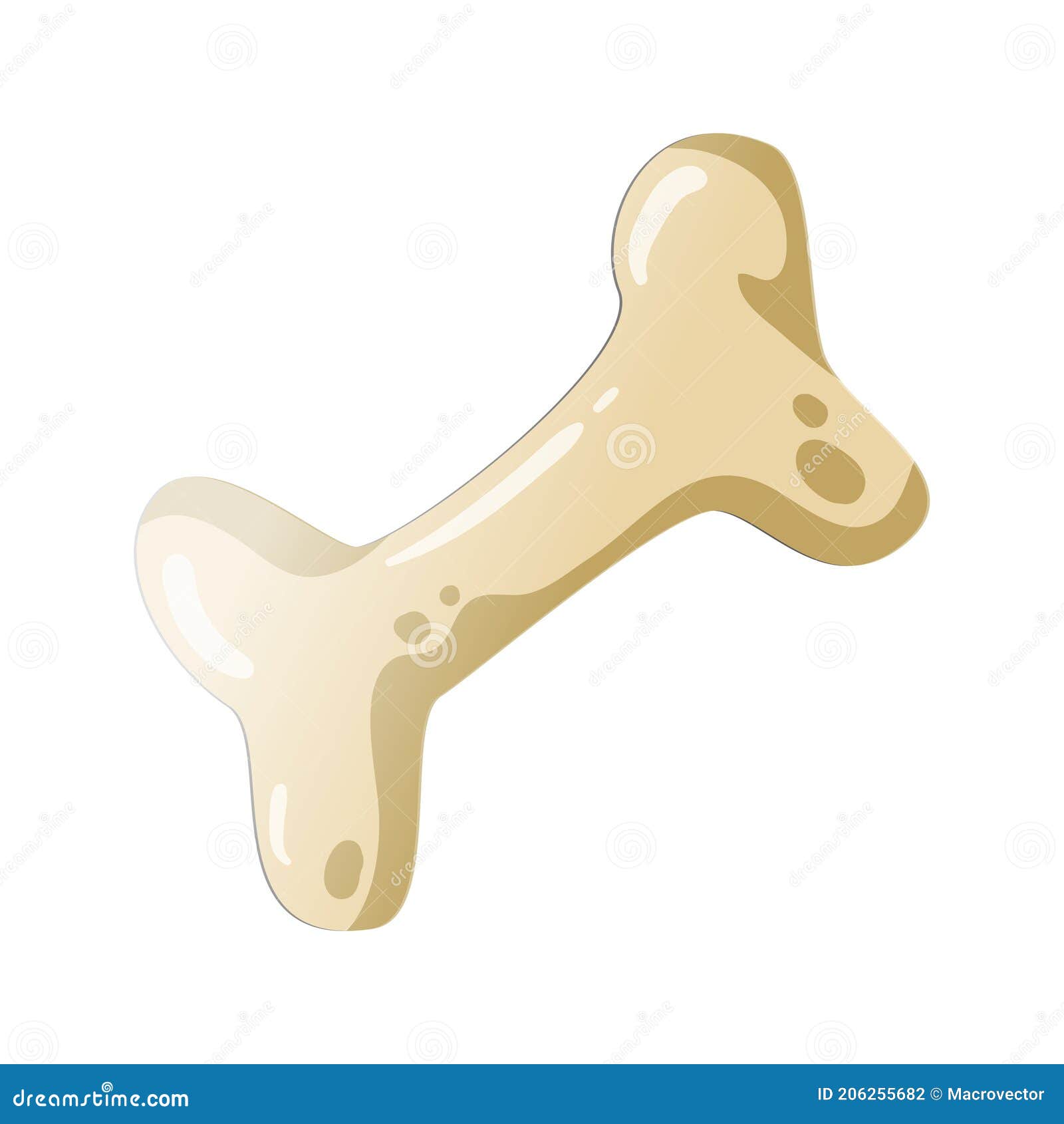 Bone Vector Illustration stock vector. Illustration of vector - 206255682