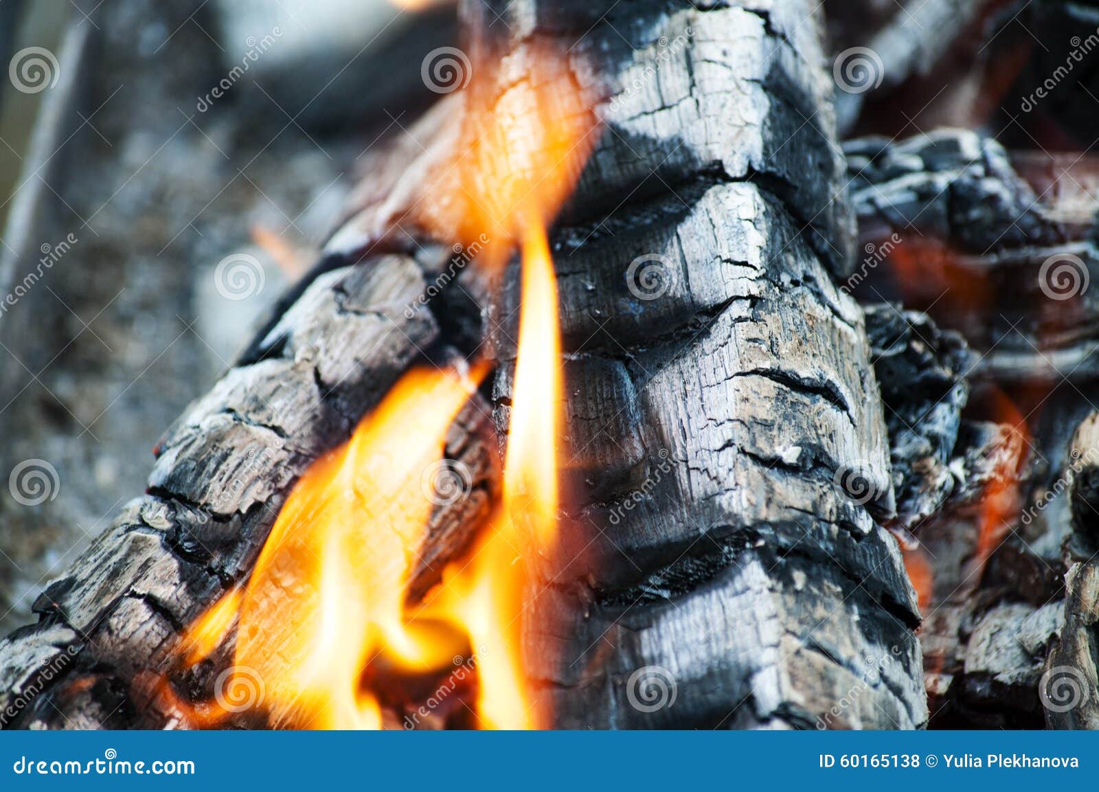 Bonefire stock photo. Image of backgrounds, food, ember - 60165138