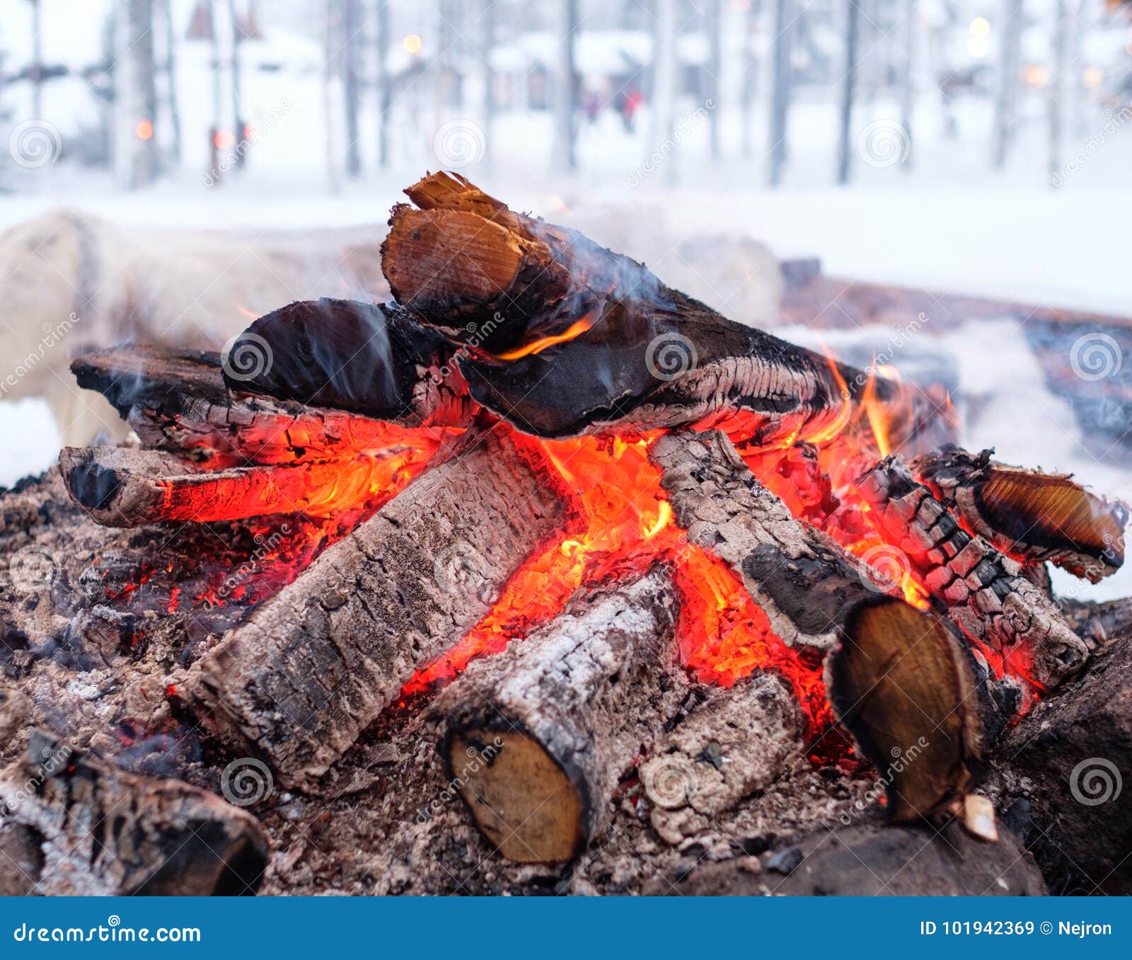 Bonefire in a Winter Landscape Stock Image - Image of forest, melting ...