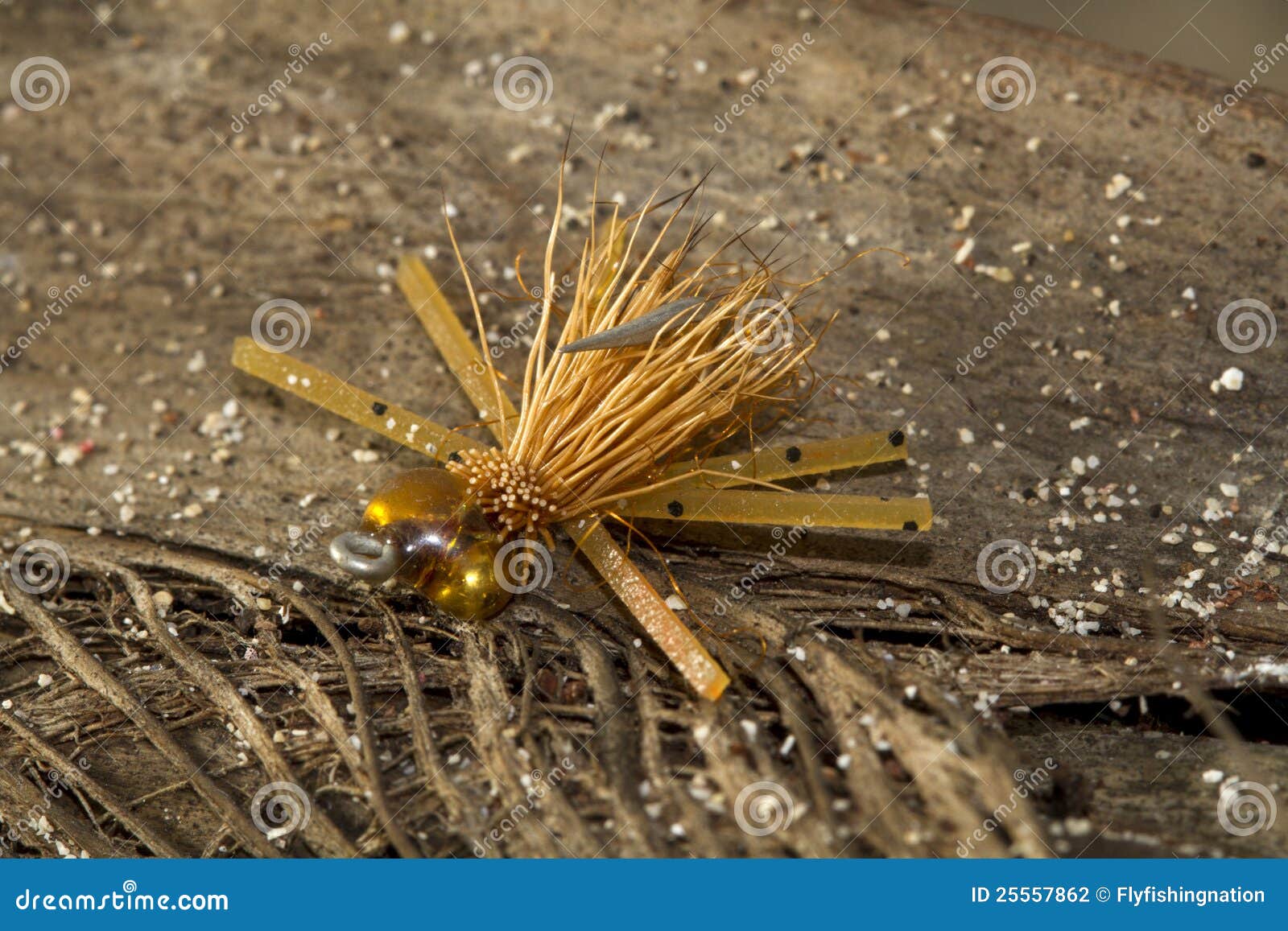 Bonefish Bitter Permit Fly - Fly Fishing Stock Photo - Image of sinker ...