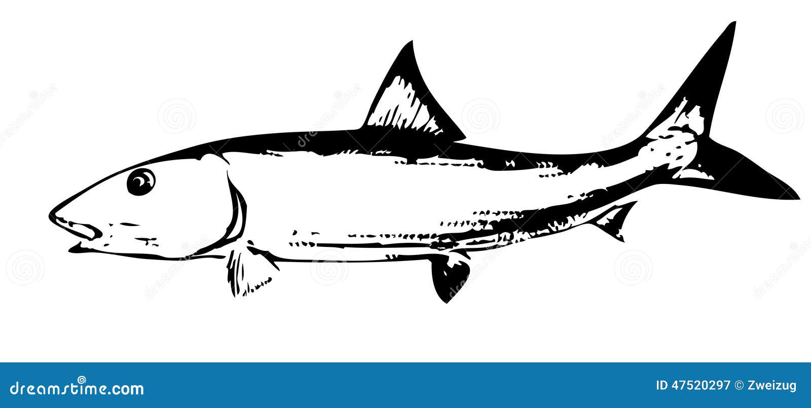 Bonefish fish vector stock vector. Illustration of bonefish - 47520297