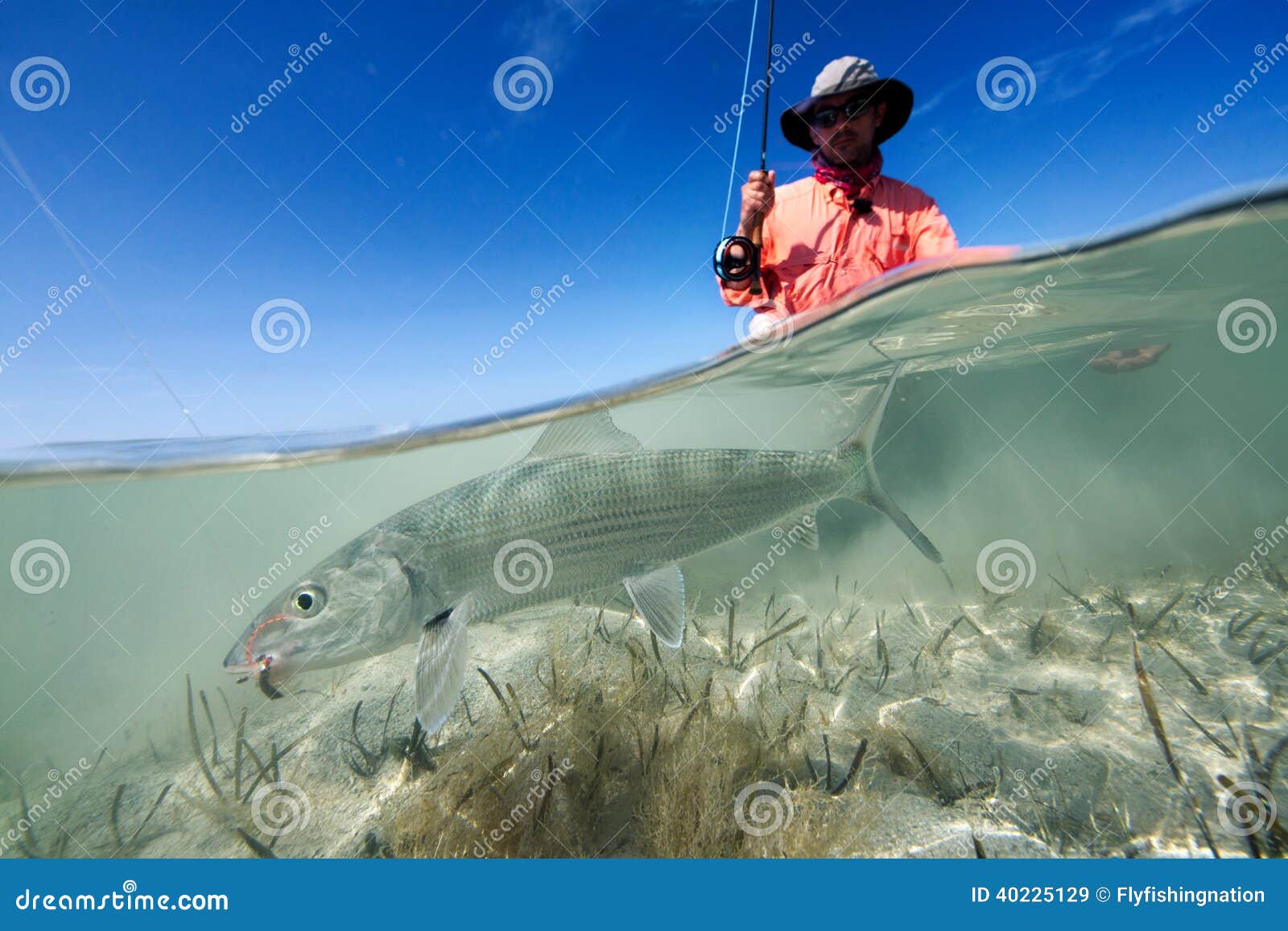 102 Bonefish Fishing Stock Photos - Free & Royalty-Free Stock Photos ...