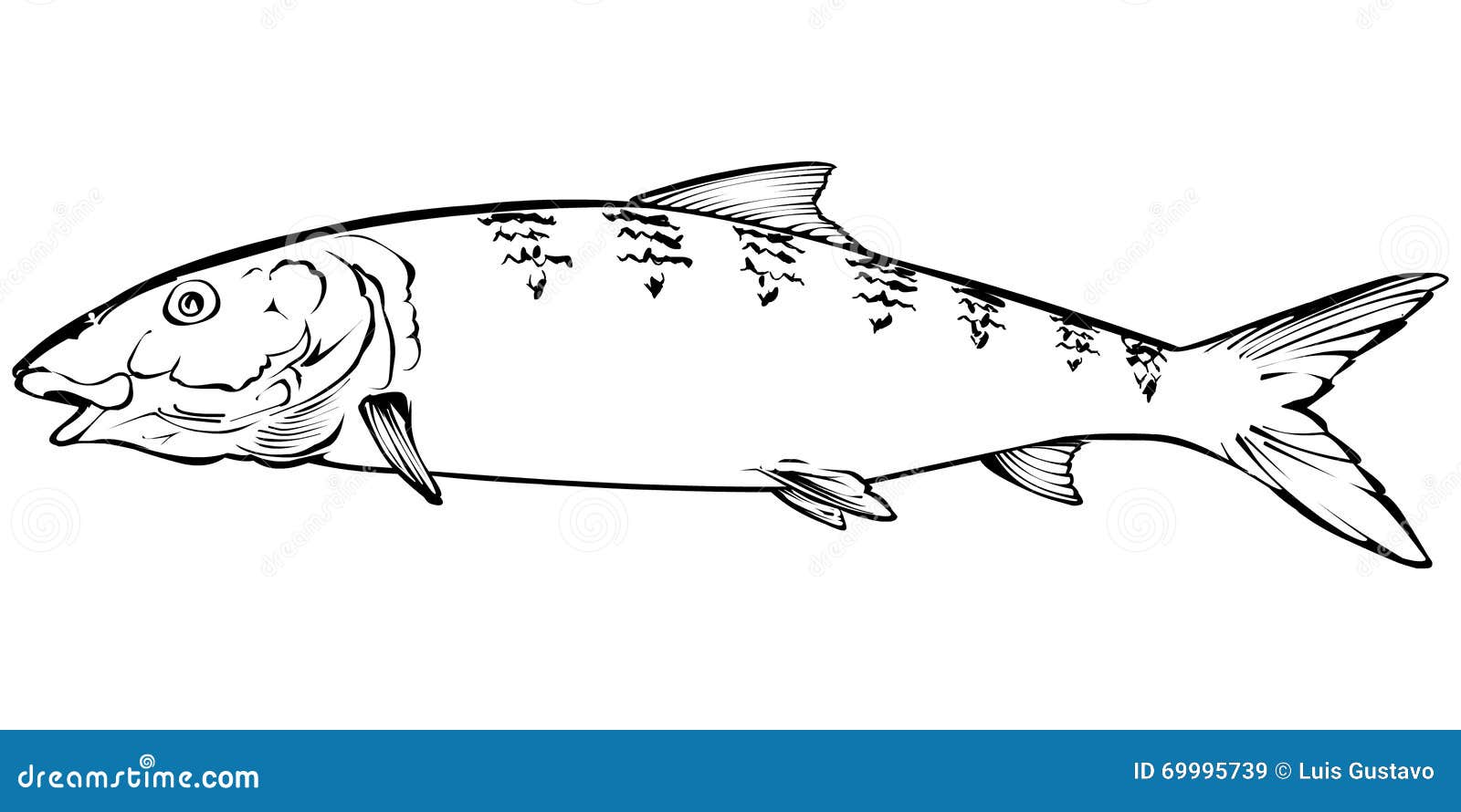 Bonefish Cartoon Vector | CartoonDealer.com #87007785
