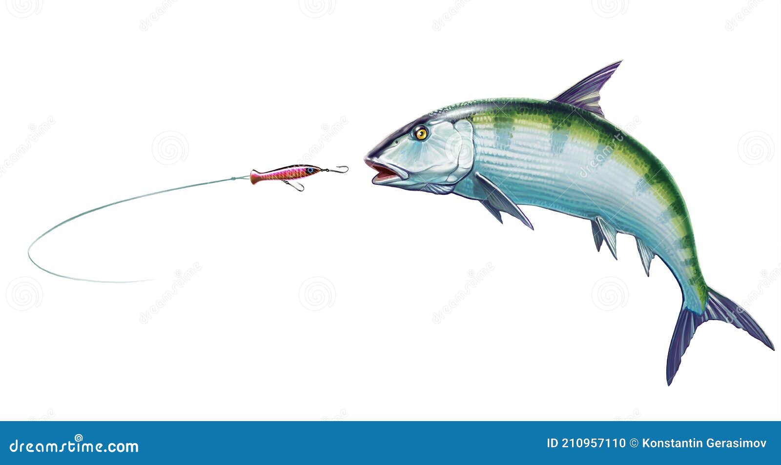 Bonefish Cartoon Vector | CartoonDealer.com #87007785