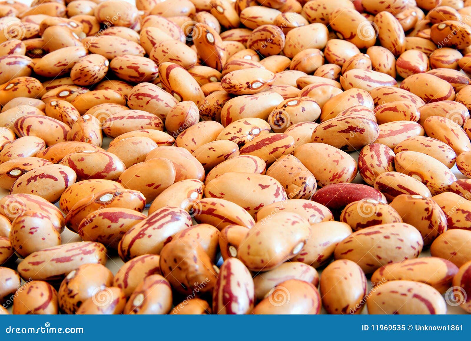 Bonen stock afbeelding. Image of macro, vitamine, dieet - 11969535