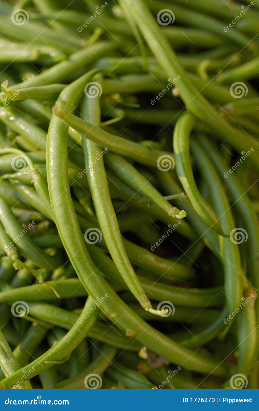 Bonen stock foto. Image of sluit, koord, boon, huis, plantaardig - 1776270