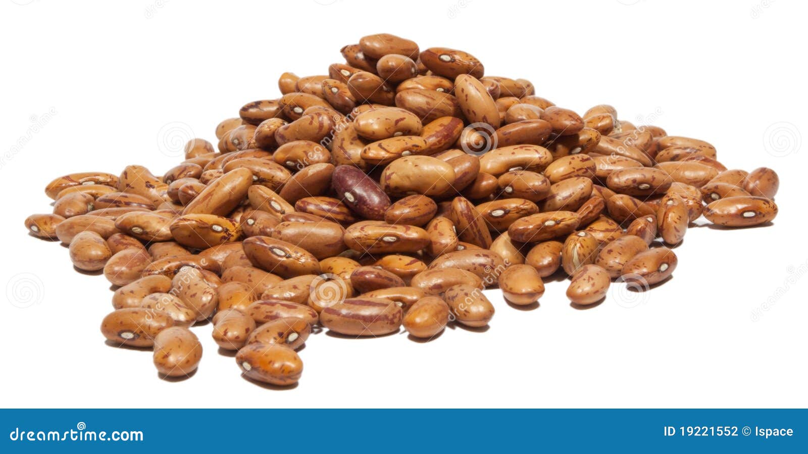Bonen stock foto. Image of gezond, ezelig, bruin, assortiment - 19221552
