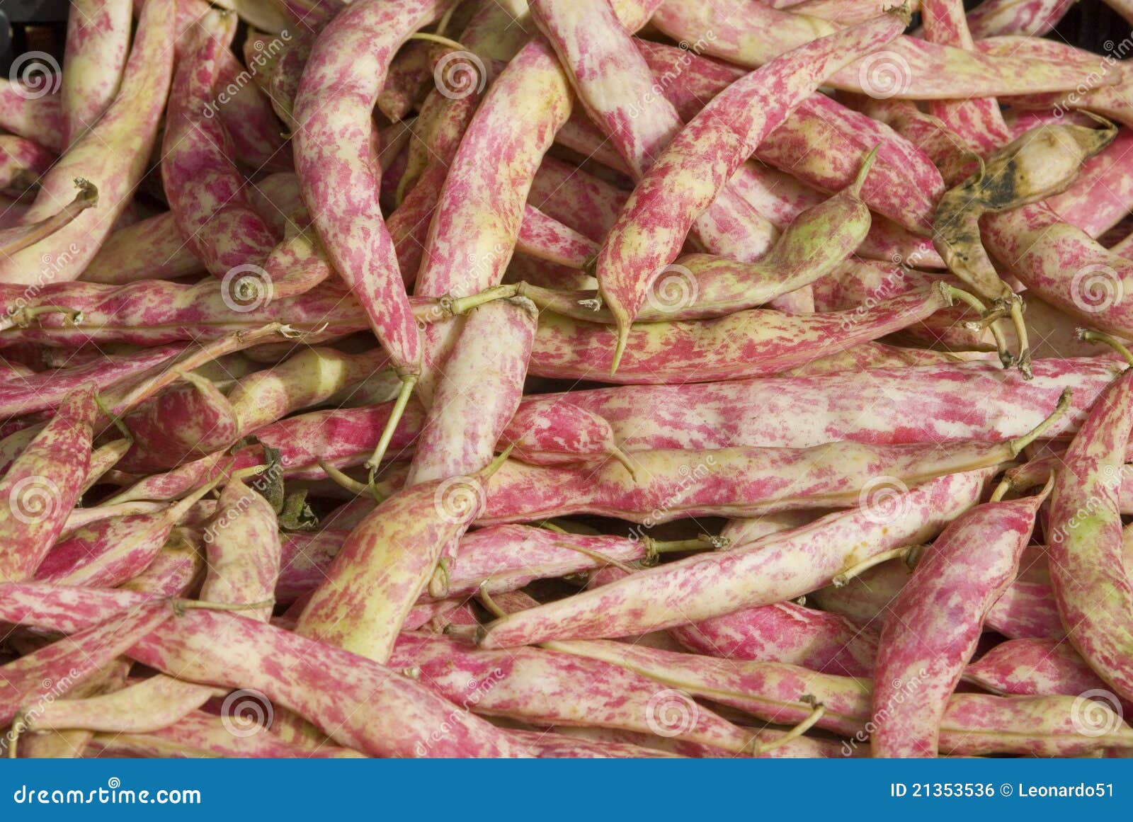 Bonen stock foto. Image of bonen, boon, ingrediënten - 21353536