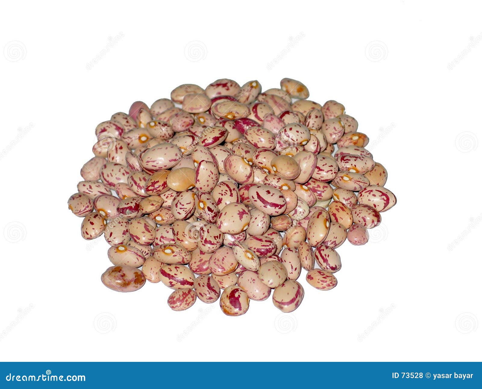 Bonen stock foto. Image of plantaardig, planeet, zaden, boon - 73528