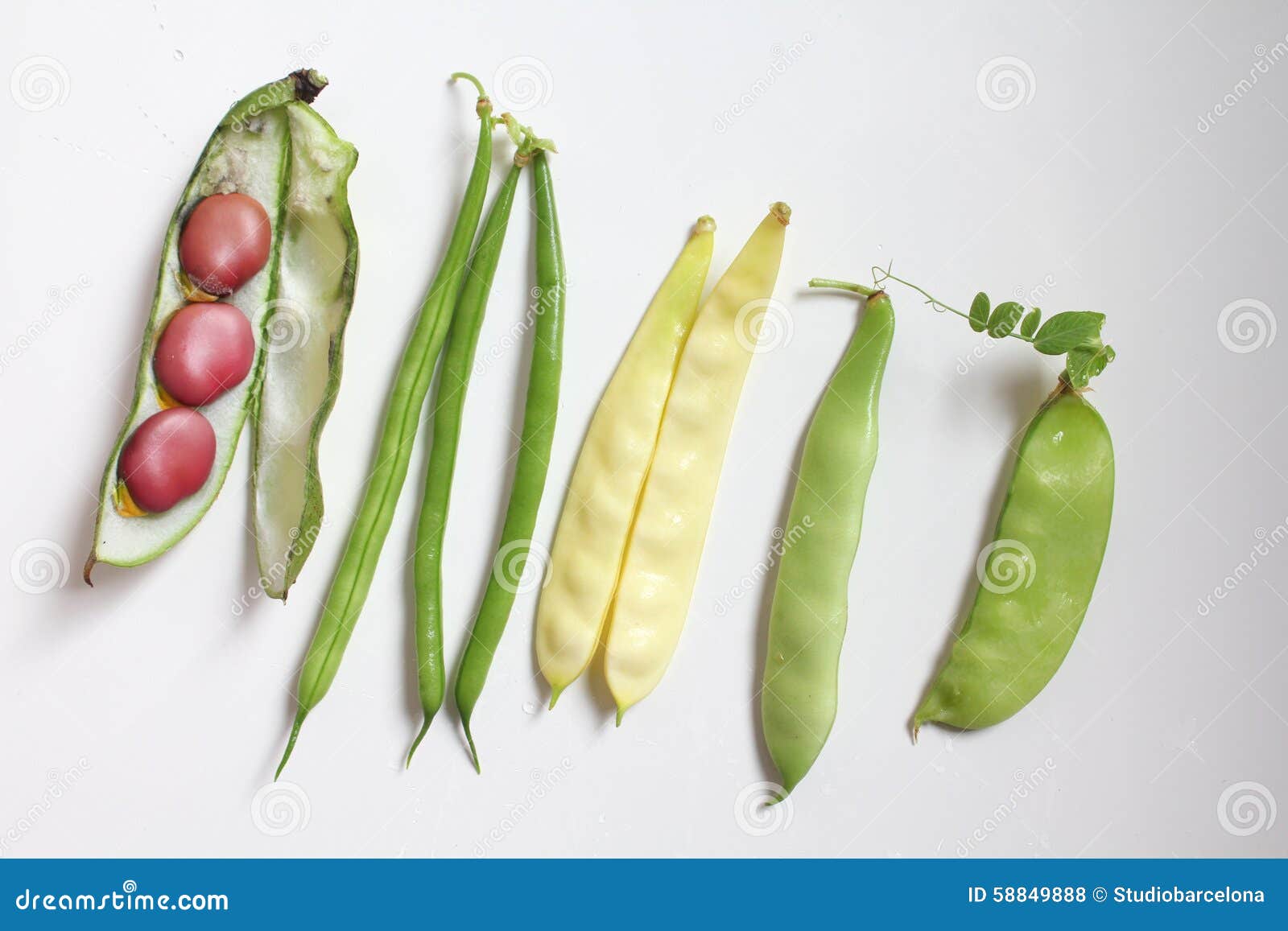 Bonen en peulvruchten stock foto. Image of voeding, blad - 58849888