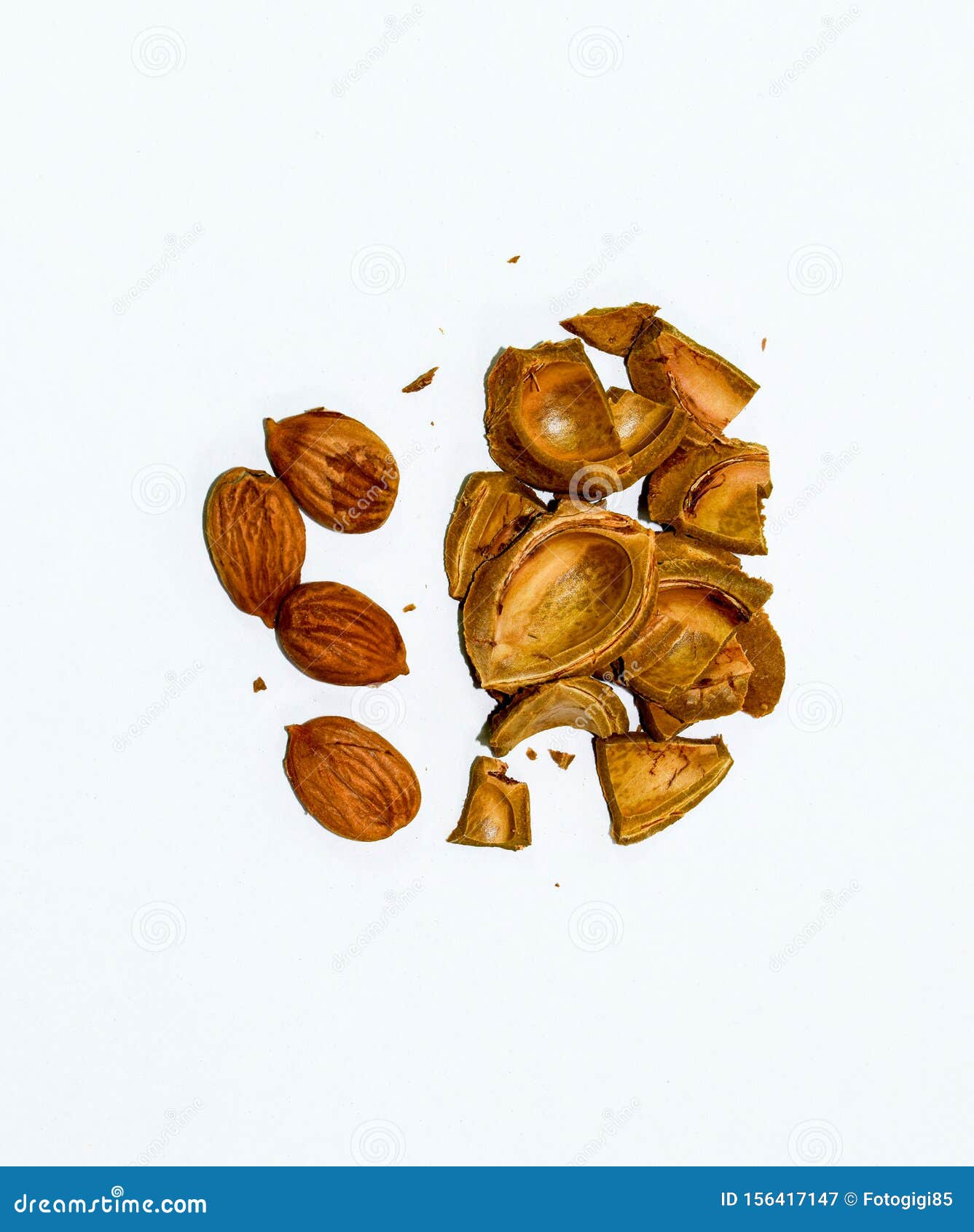 Bones of Apricot. Seeds are for Sowing. an Apricot Seed Stock Image ...