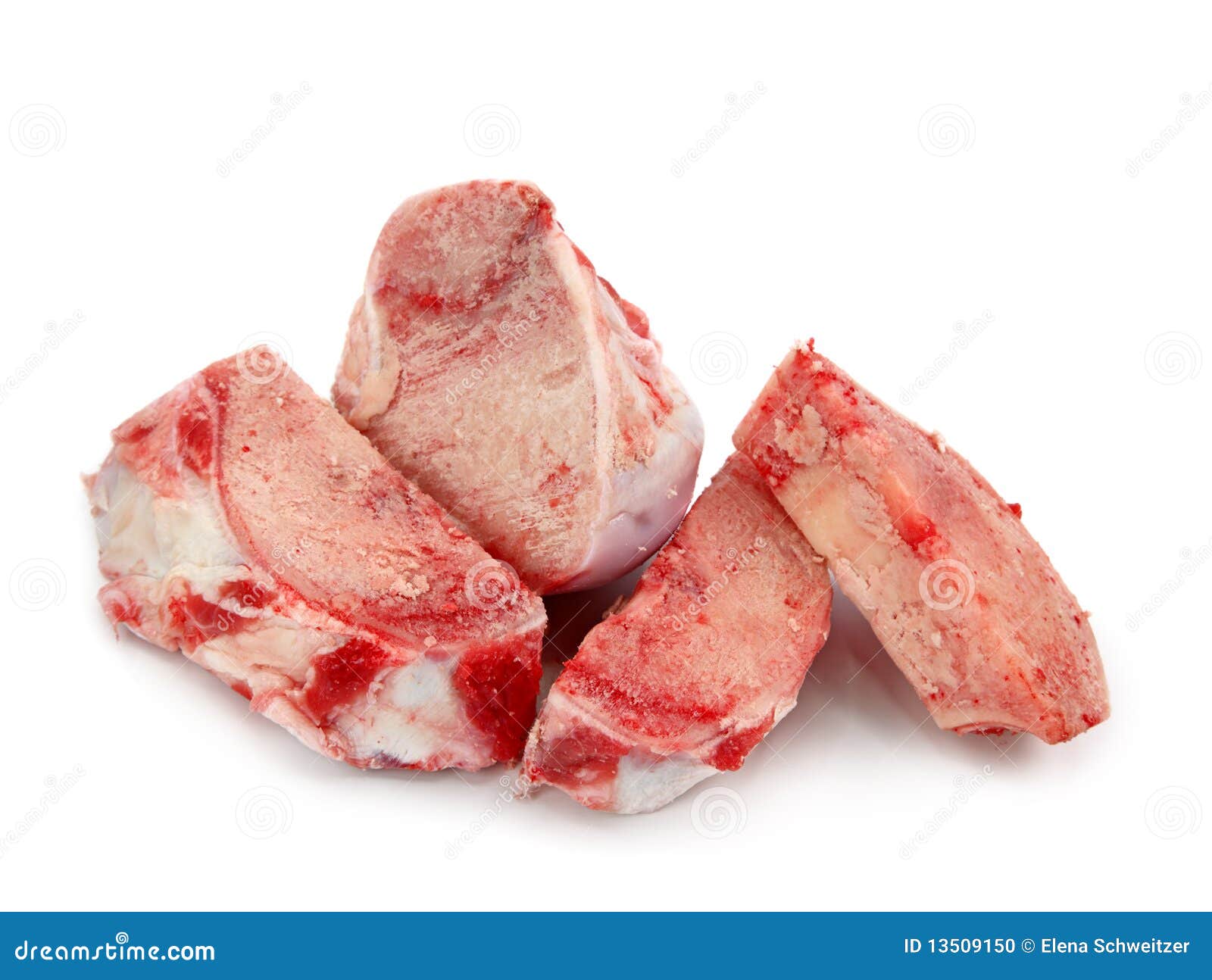 Bones from cattle stock photo. Image of bones, background - 13509150