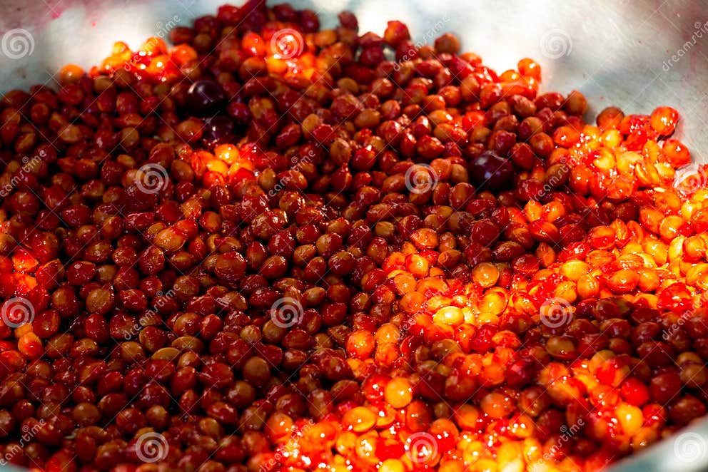 Bones from the Cherry. Cherry Seeds Stock Photo - Image of macro, sour ...