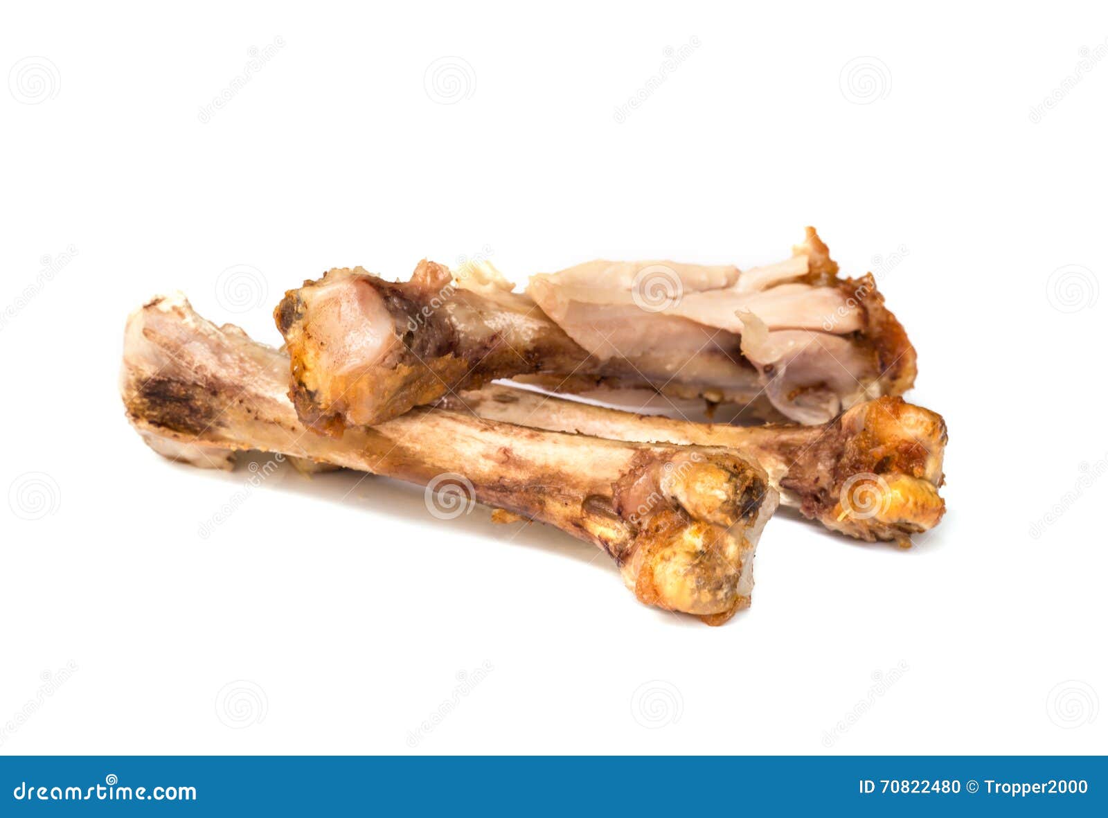 Bones of chicken. stock photo. Image of copy, bird, cuisine - 70822480