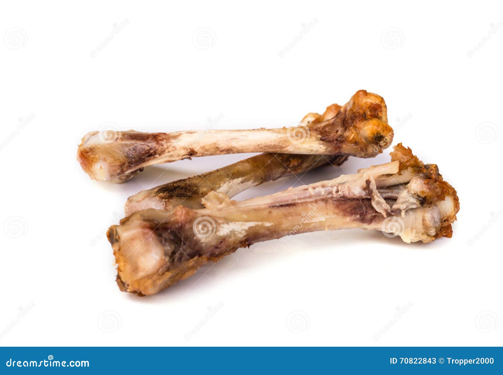 Bones of chicken. stock image. Image of picked, gourmet - 70822843