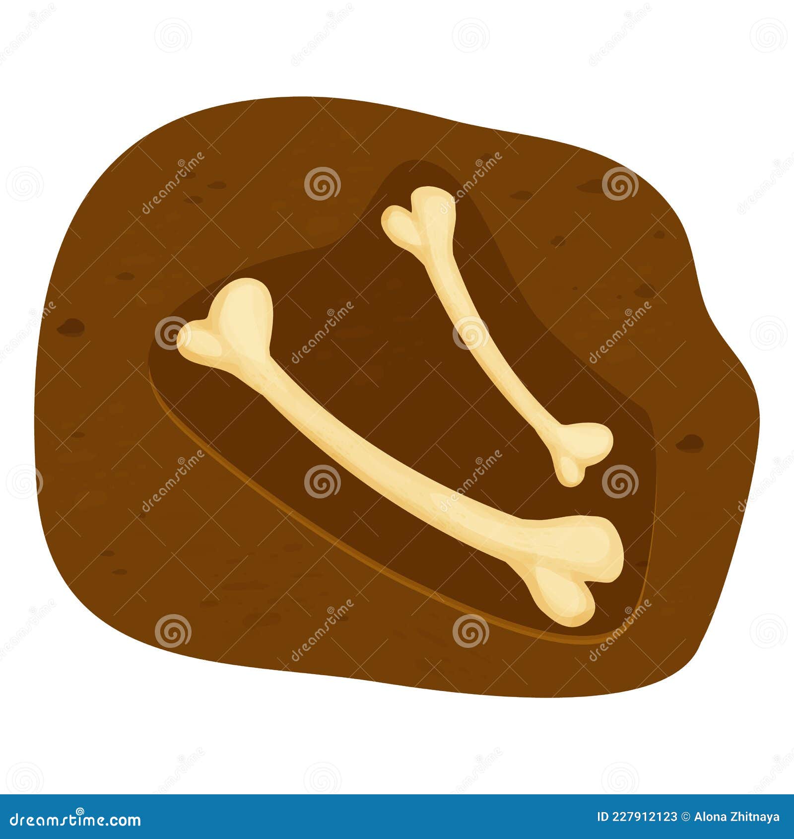 Archeology Bones. Underground Dinosaur Bones Soil Layers Buried Clay ... Archeology Bones. Underground Dinosaur Bones Soil Layers Buried Clay ...
