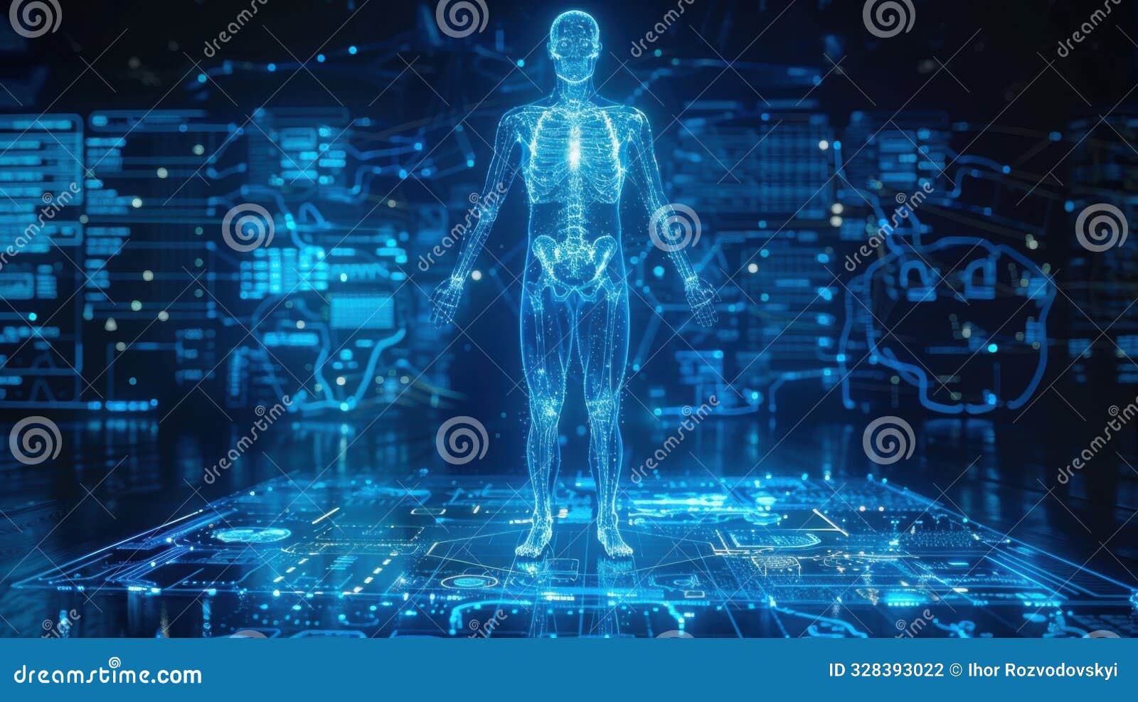 Bones in Human Body, Isolated 3D Hologram. Stock Illustration ...