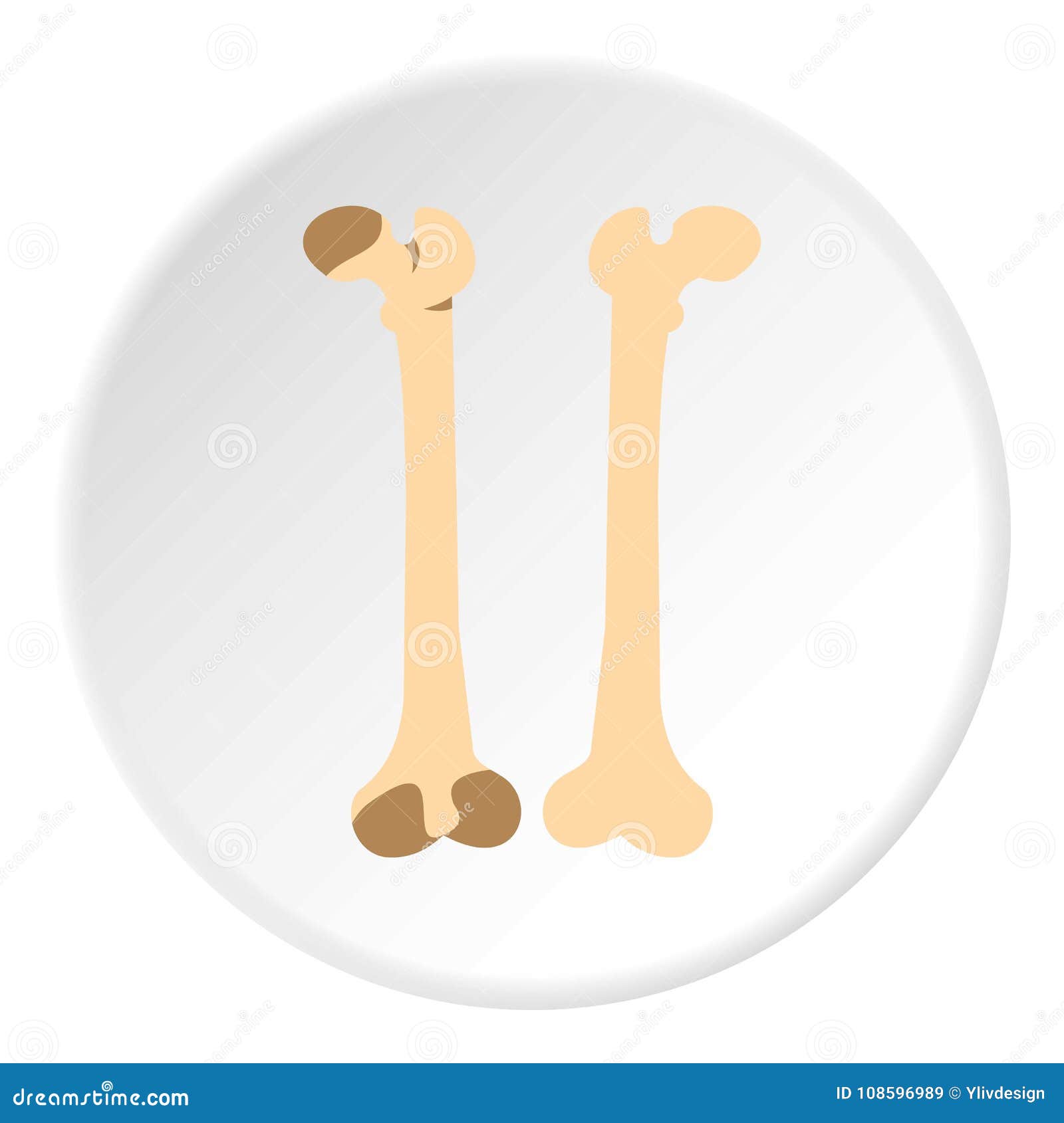 Bones icon circle stock vector. Illustration of white - 108596989