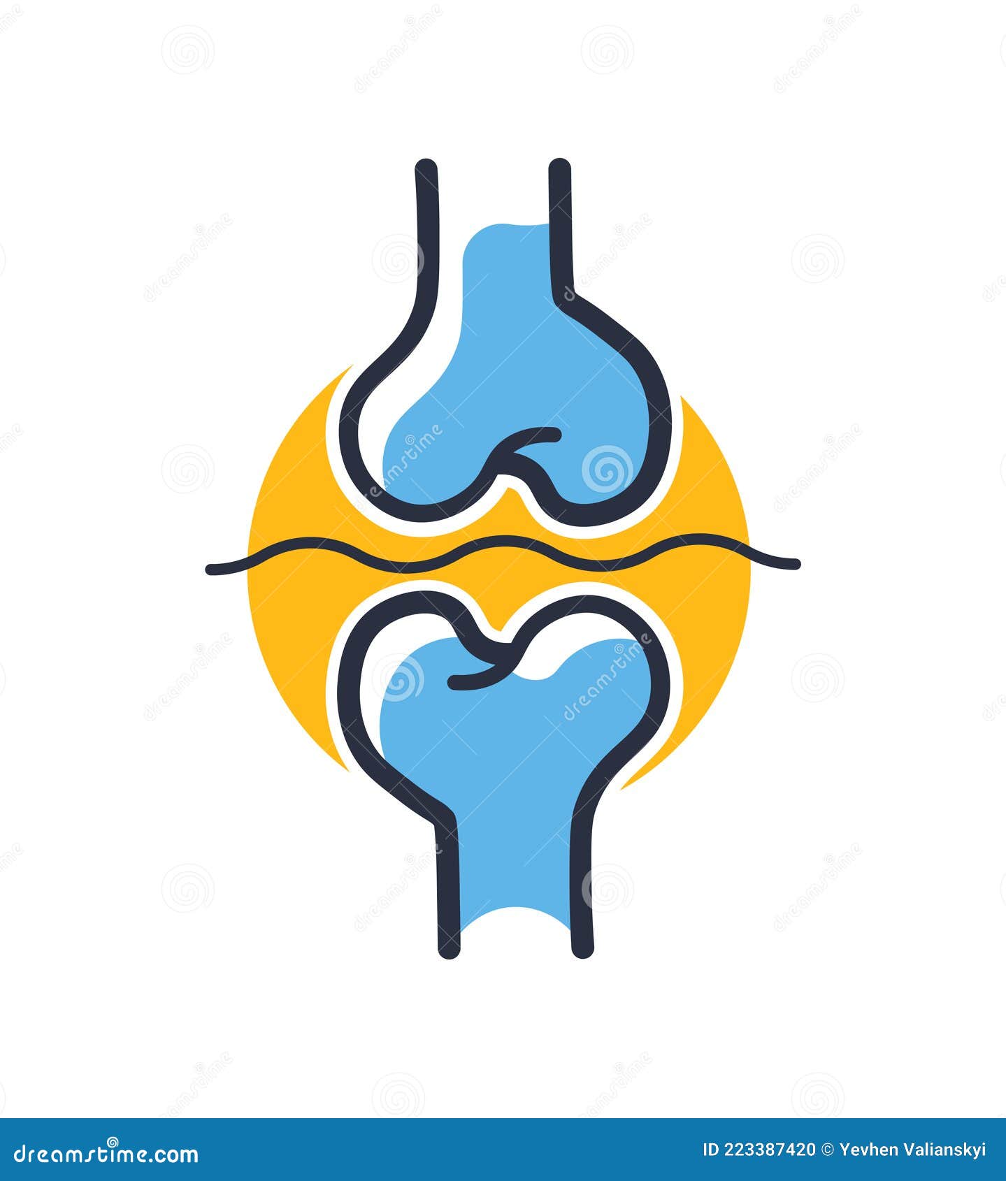 Bones Joints Vector Illustration | CartoonDealer.com #59217722