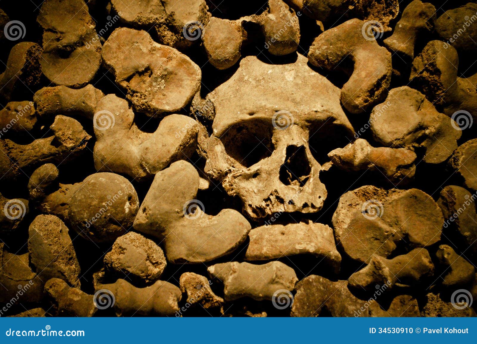 Bones stock photo. Image of cemetery, morbid, crypt, anatomy - 34530910