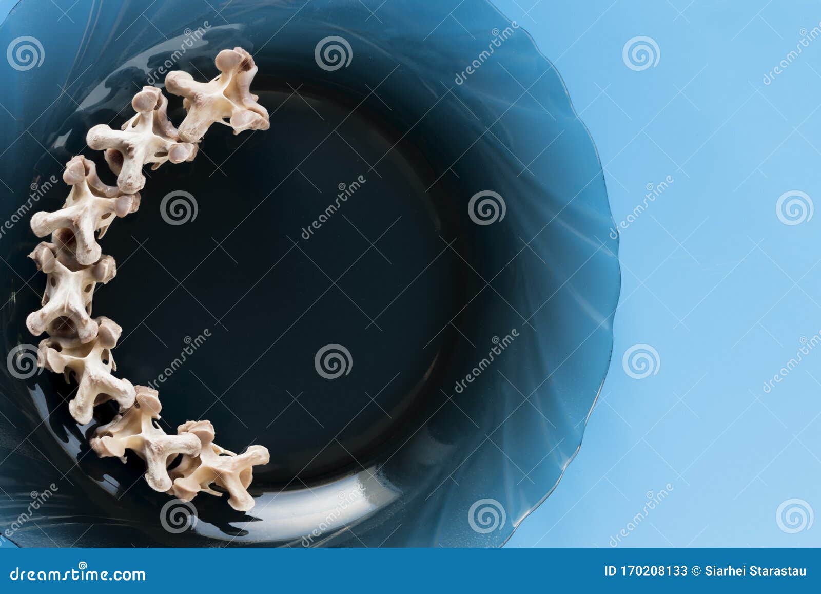 Bones from the Neck of a Duck on a Blue Background Stock Image - Image ...