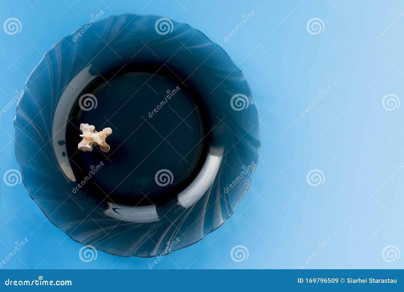 Bones from the Neck of a Duck on a Blue Background Stock Image - Image ...