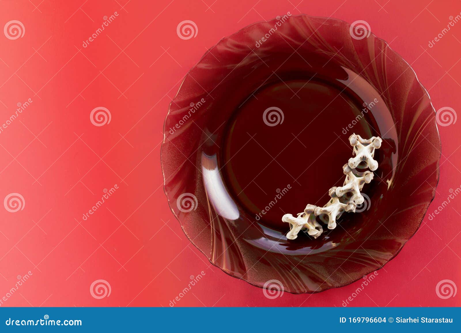 Bones from the Neck of a Duck on a Blue Background Stock Photo - Image ...