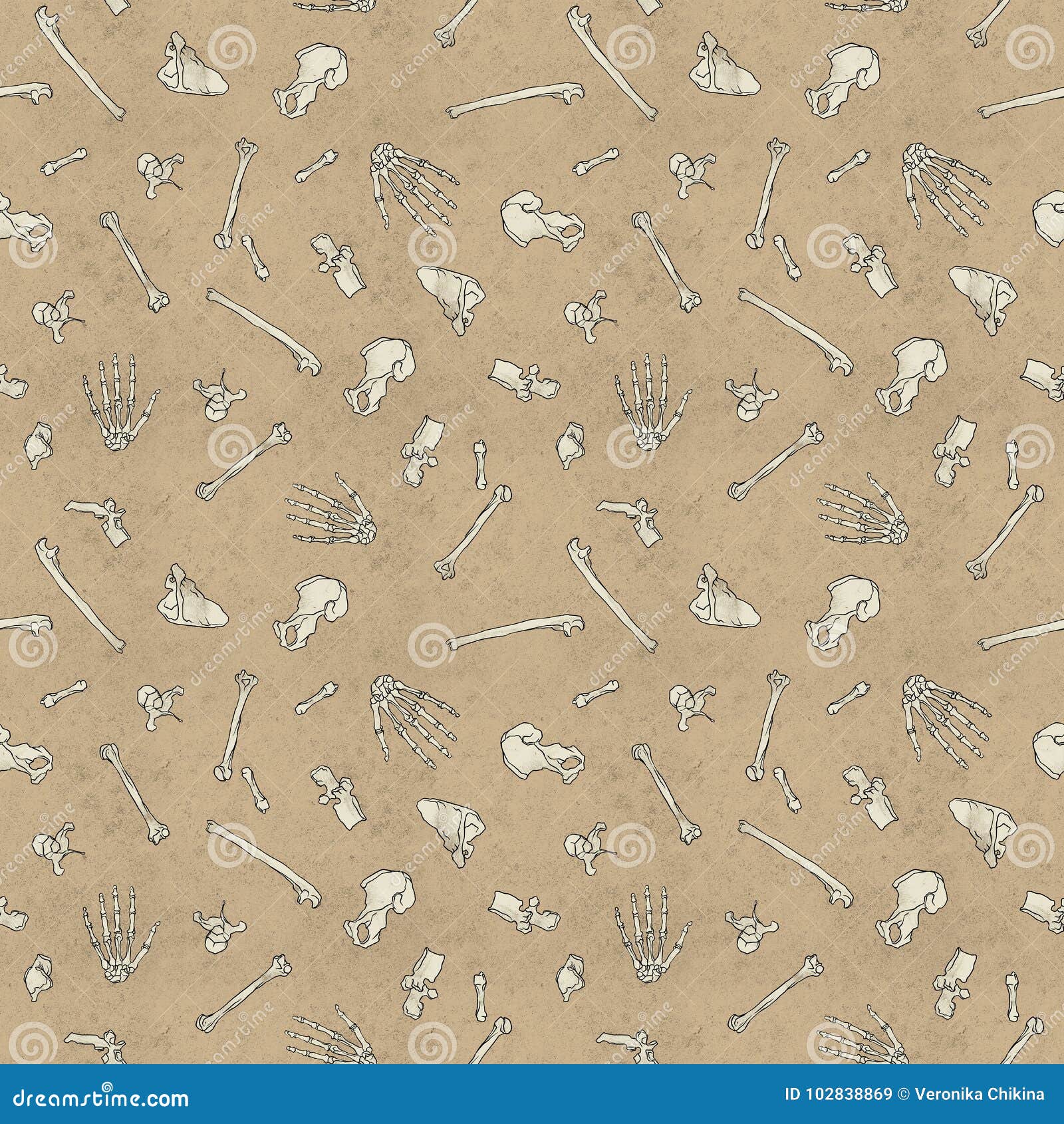 Bones pattern stock illustration. Illustration of anatomy - 102838869