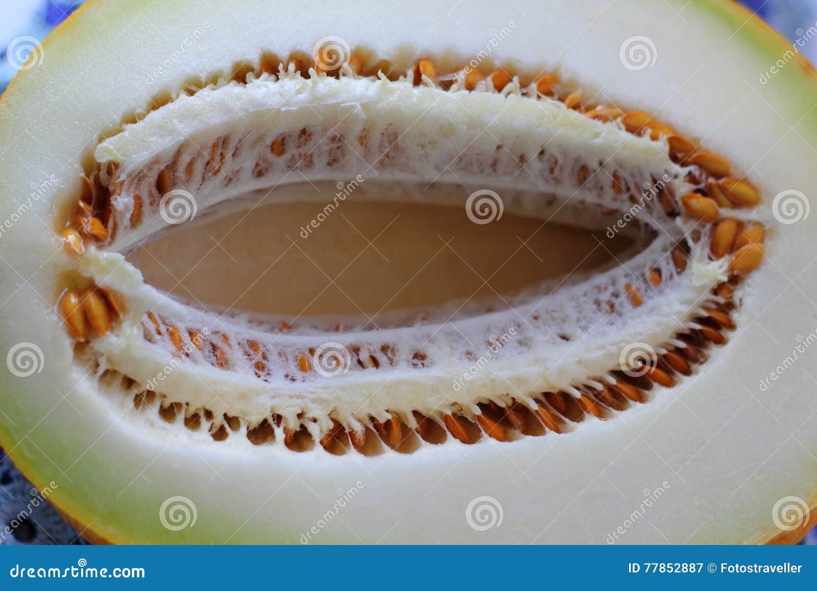 Bones in a Row in a Cut Melon Stock Image - Image of fruit, bones: 77852887