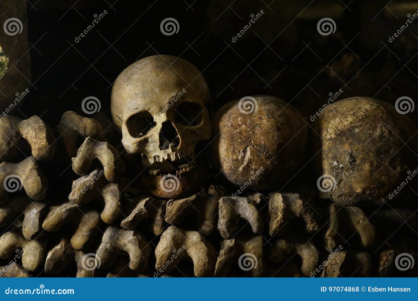 Bones, Skeletons and Skulls Editorial Stock Photo - Image of dark ...