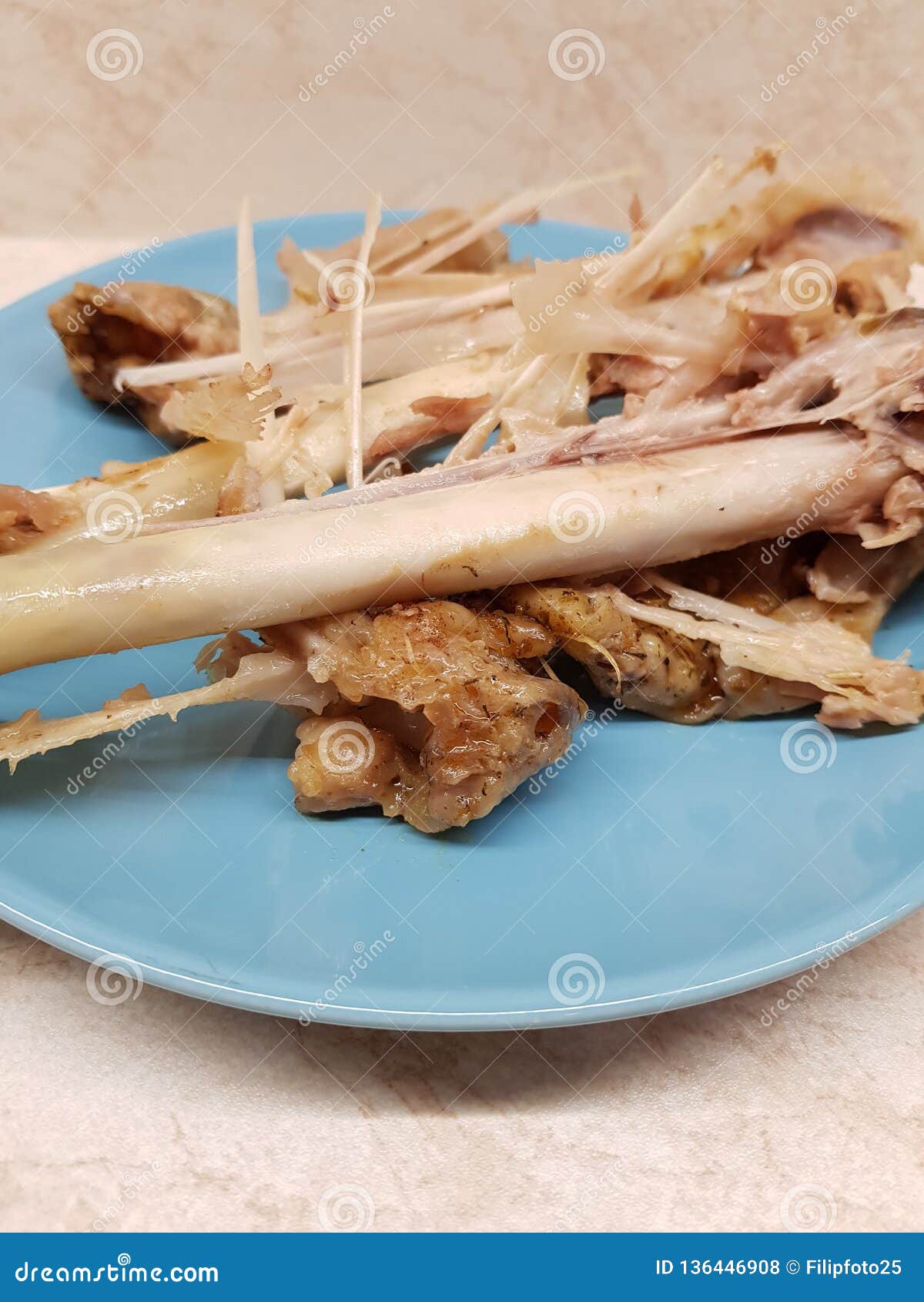Bones of turkey stock photo. Image of bones, gnawed - 136446908