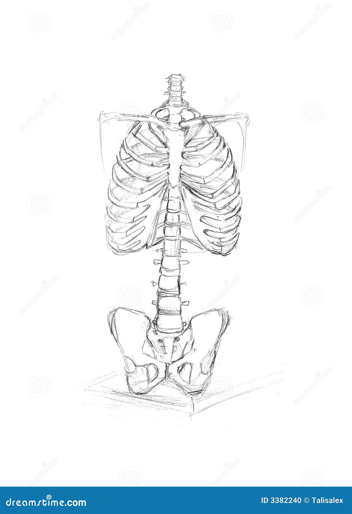 Limb Cartoons, Illustrations & Vector Stock Images - 13956 Pictures to ...