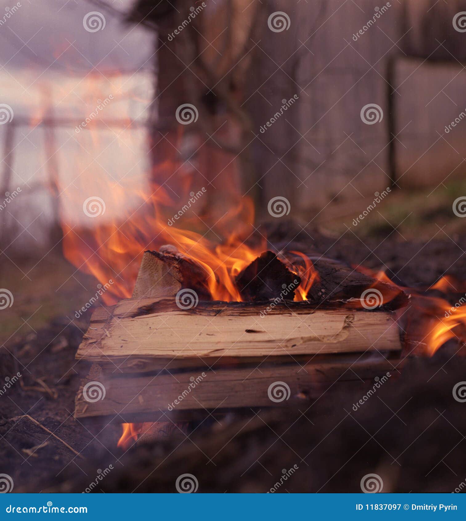 Bonfire stock image. Image of wood, bonfire, nature, campsite - 11837097