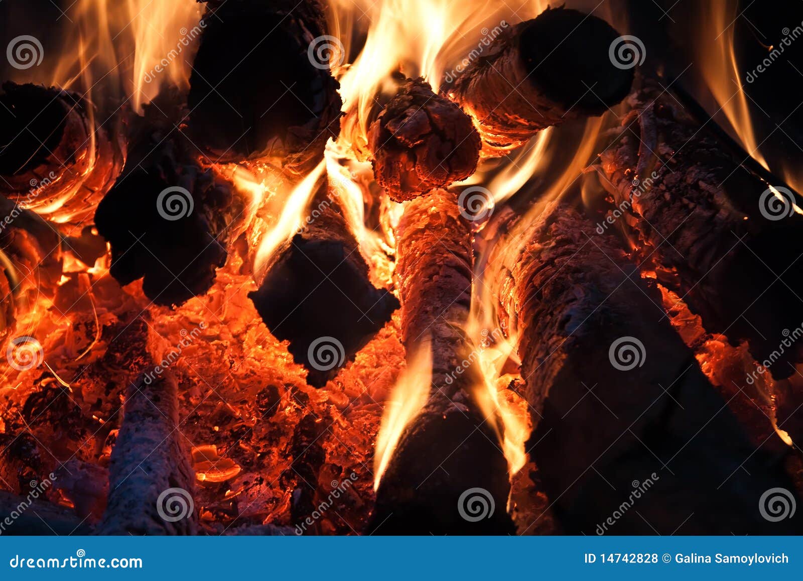 Bonfire stock photo. Image of danger, flaming, ecology - 14742828