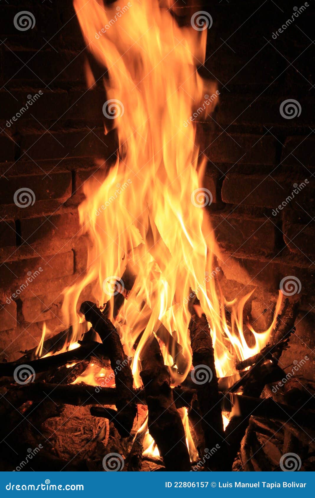 Bonfire stock image. Image of food, branches, wood, rustic - 22806157
