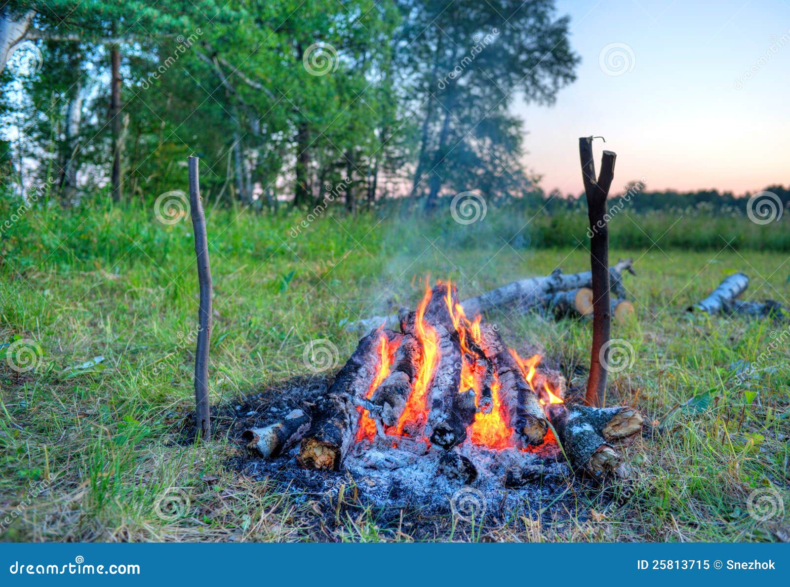 Bonfire stock image. Image of blue, flame, food, beauty - 25813715