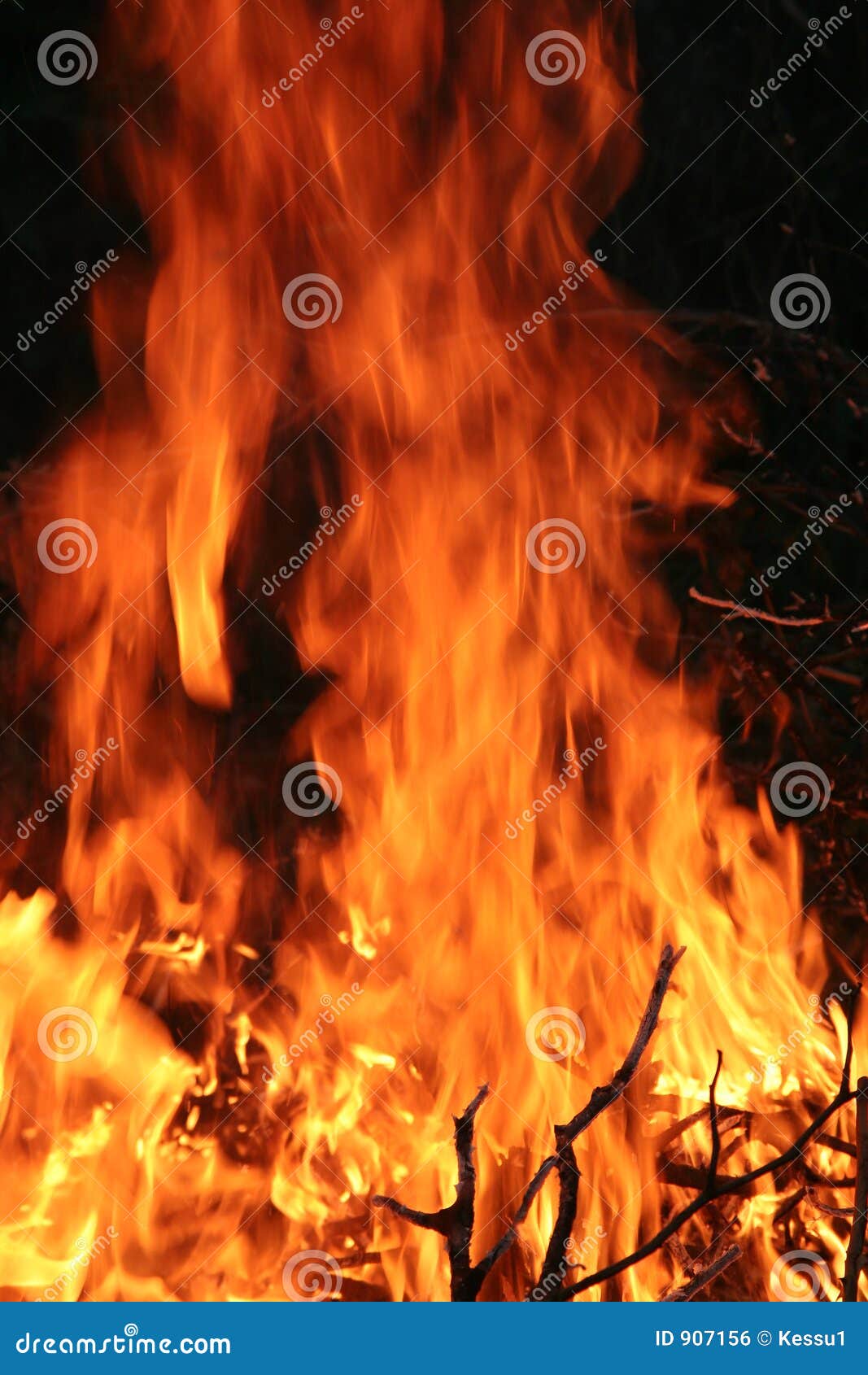 Bonfire stock photo. Image of branches, burnt, orange, heat - 907156