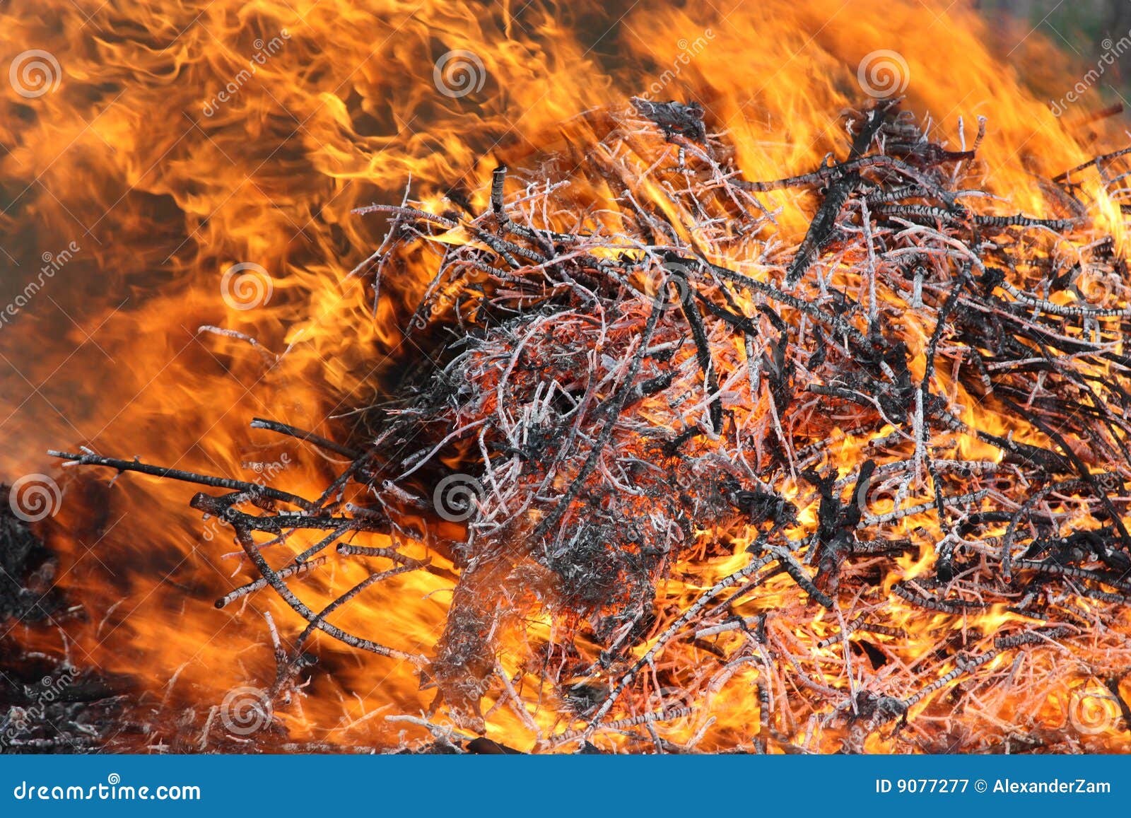 Bonfire stock image. Image of flame, firewood, burn, smoke - 9077277