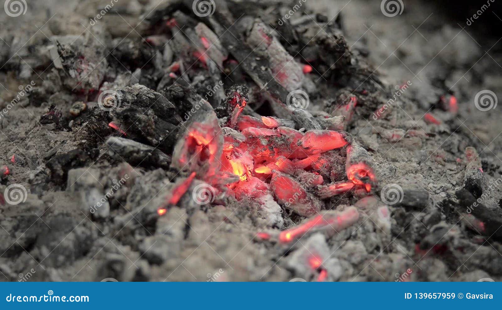 Bonfire Ashes in Forest Close Up Stock Video - Video of firewood ...
