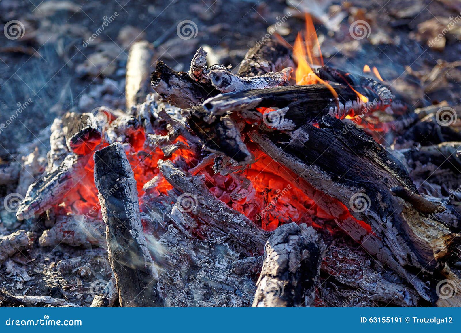 Bonfire in the Autumn Forest Stock Image - Image of fall, burn: 63155191