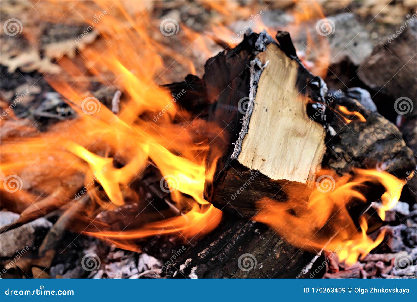 Bonfire in the Autumn Forest Stock Image - Image of environment ...