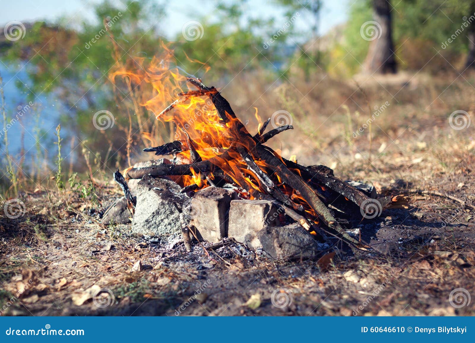 Bonfire in the Autumn Forest. Coals of Fire Stock Photo - Image of ...