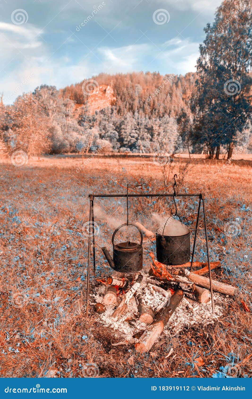 Bonfire in the Autumn Forest. Stock Photo - Image of grass, firewood ...