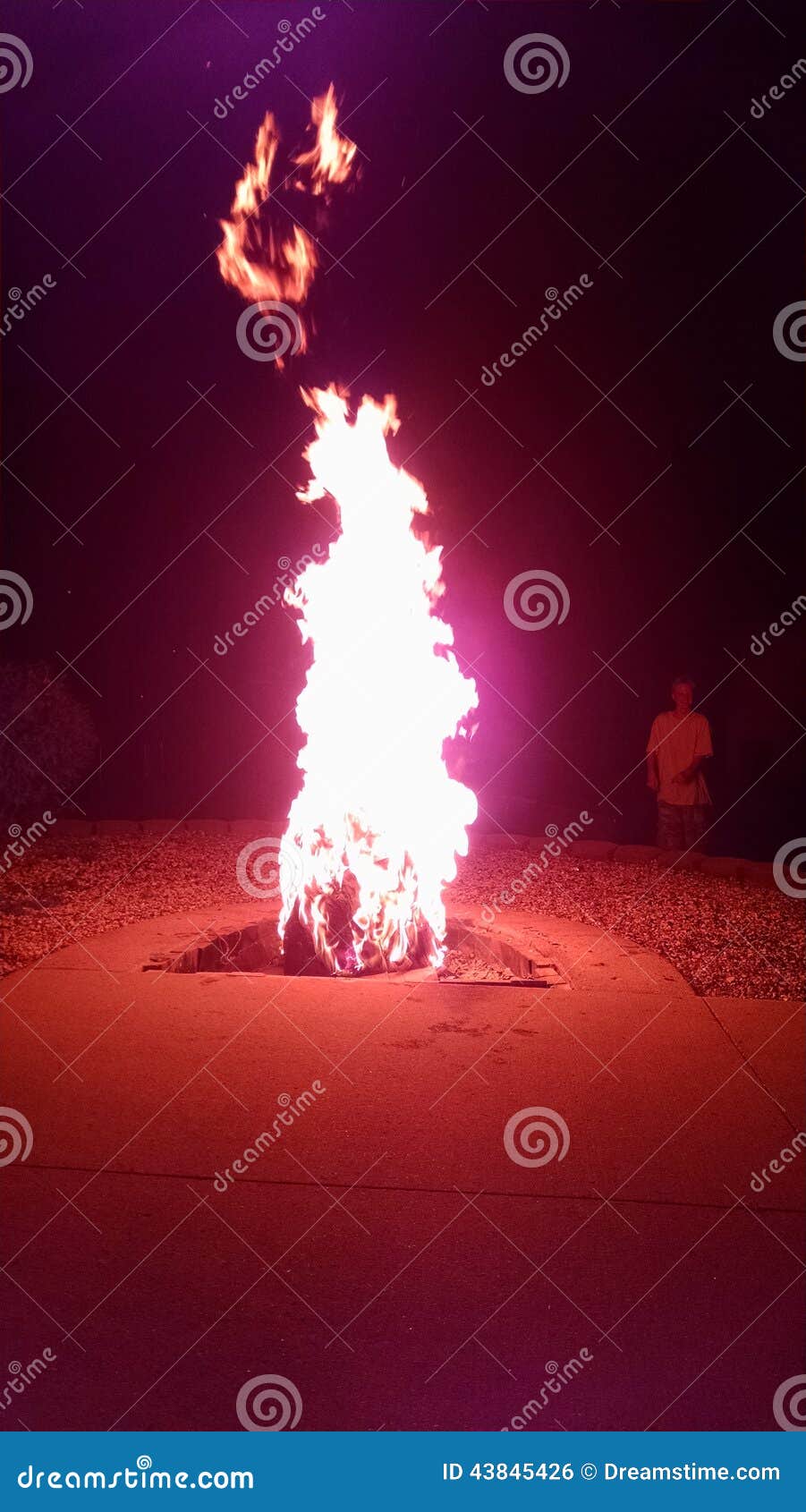 Bonfire editorial photo. Image of timewithfamily, backyard - 43845426