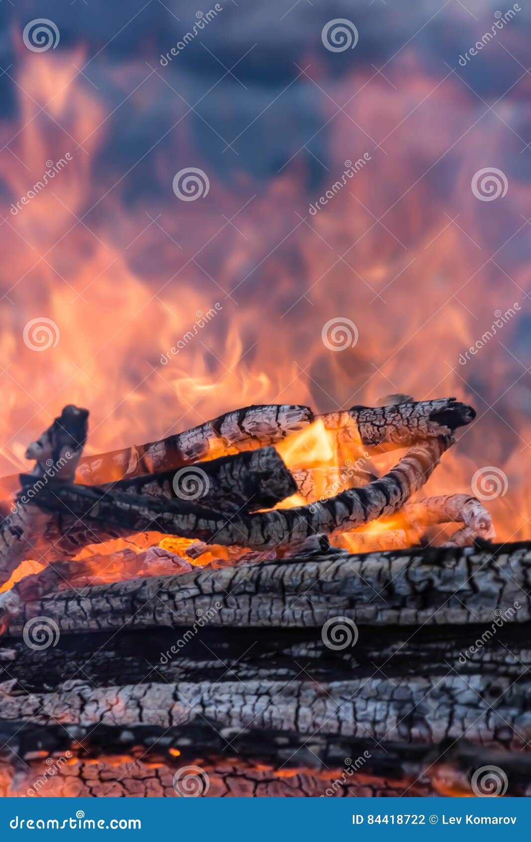 Bonfire stock photo. Image of coal, bonfire, wood, warming - 84418722