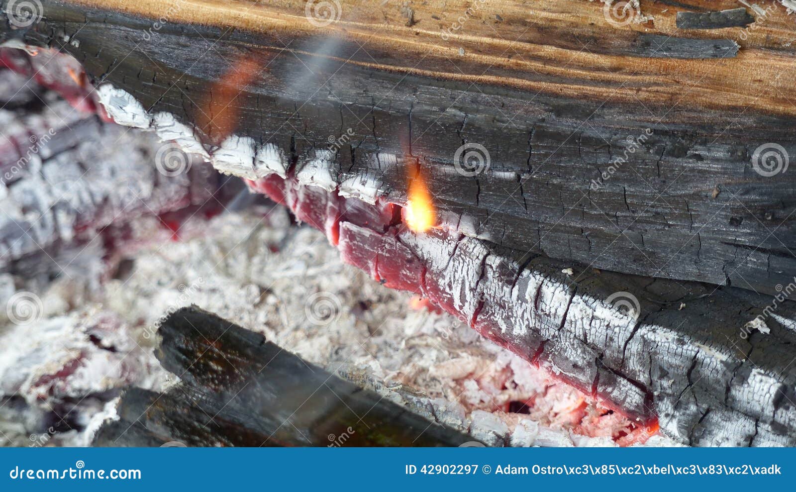 Bonfire stock image. Image of wood, bohemia, bonfire - 42902297