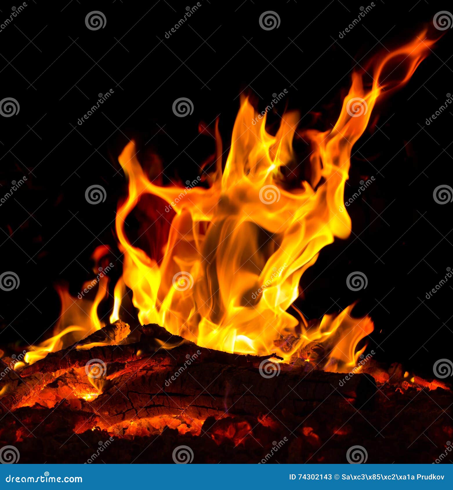 Bonfire at Black Summer Night Stock Image - Image of coals, warm: 74302143