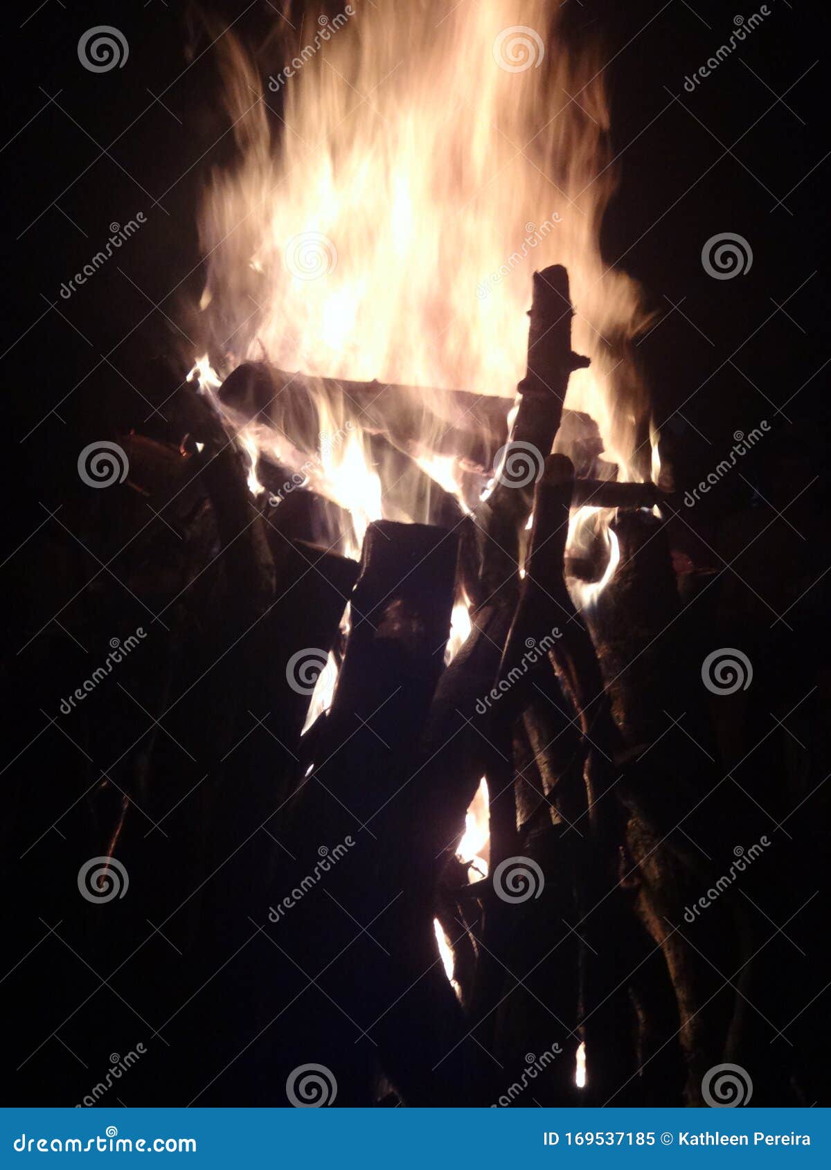 Bonfire stock image. Image of camping, fire, bonfire - 169537185