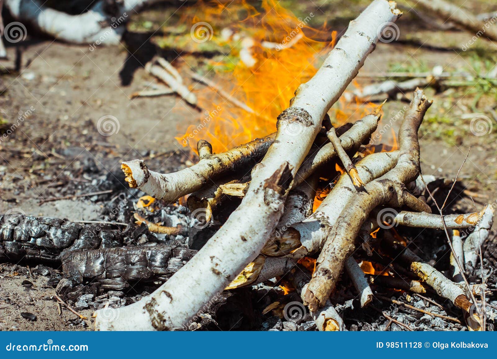 The fire on the nature stock photo. Image of glow, ember - 98511128